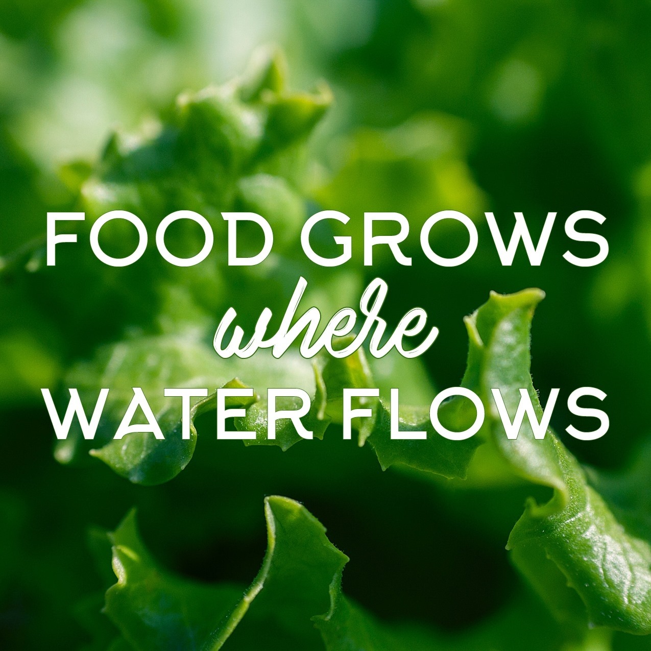 Farm Water Facts - California Farm Water Coalition